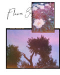IRIS Covet Book | IRIS Covet Book